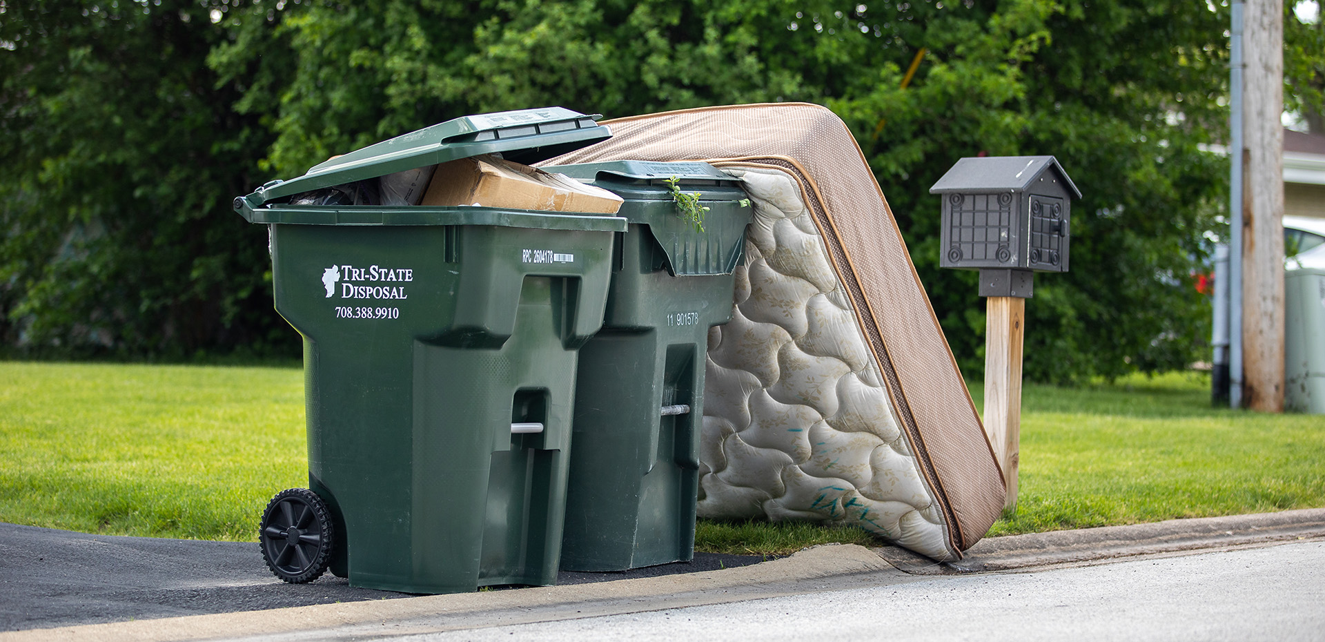 Bulk Trash Pickup Services